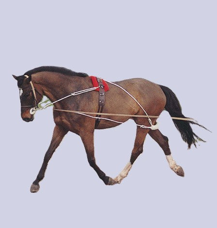 05-460300 Pessoa Lunge Rig – C.M. Hadfield's Saddlery Inc.